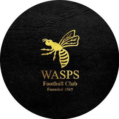 Wasp FC | SNAP Sponsorship | Sports Sponsorship